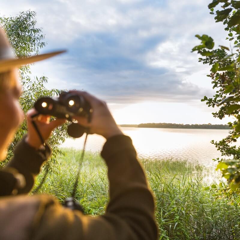 Ivenacker Eichen - Wald-MV